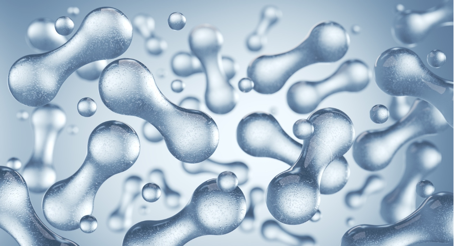 Probiotics for inflammation | Green Plants Extracts